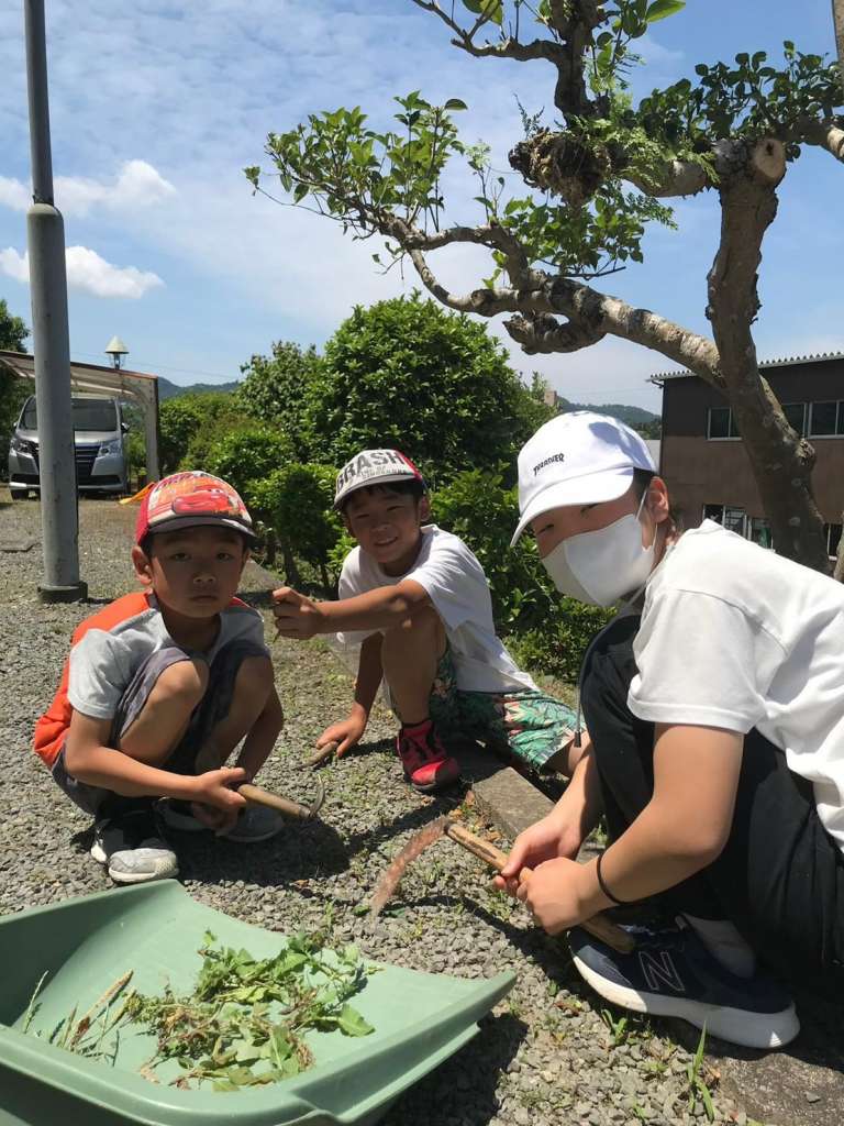 教区除草ひのきしん:東山支部【京都教区】｜教区・支部掲示板